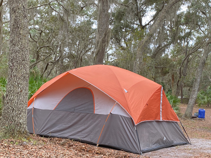 etoniah creek state forest 8