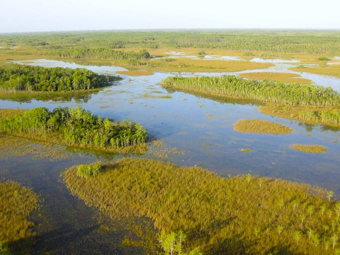 everglades national park 1