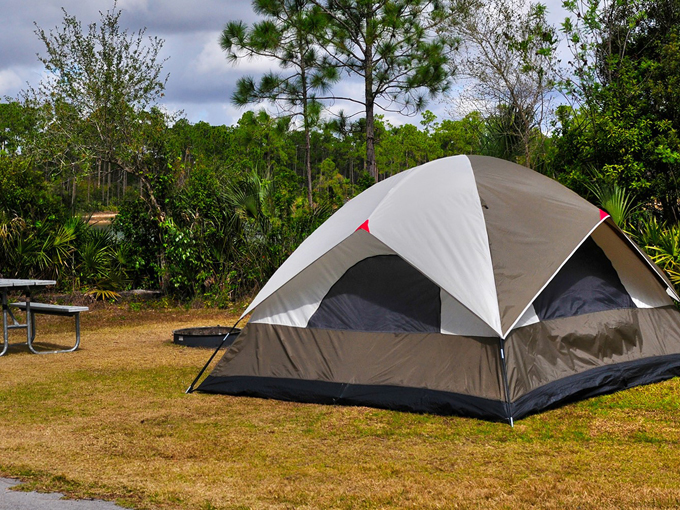 everglades national park 8