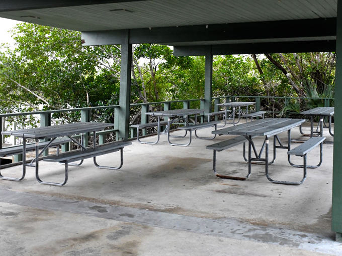 everglades national park 9