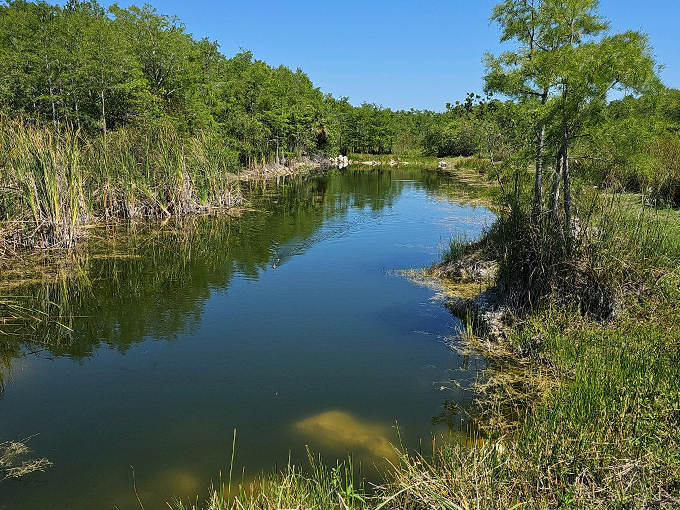 fakahatchee strand preserve state park 2