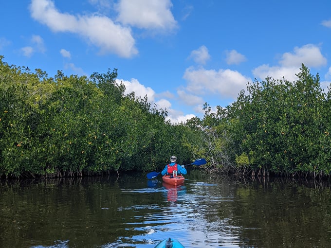 fakahatchee strand preserve state park 8