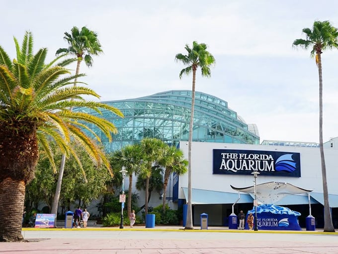 florida aquarium 1