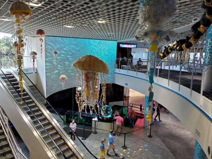 florida aquarium 2