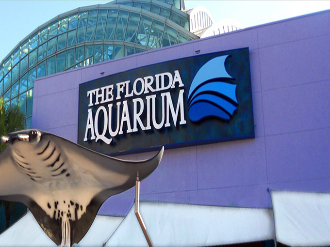 florida aquarium 8
