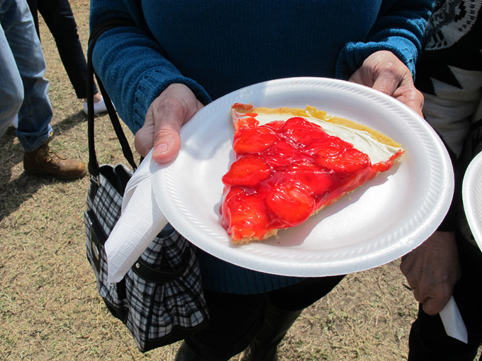 florida strawberry festival 5