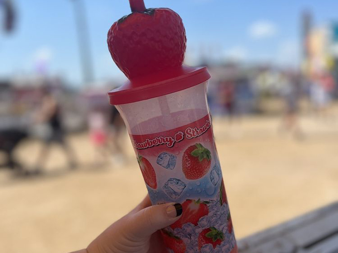 florida strawberry festival 6