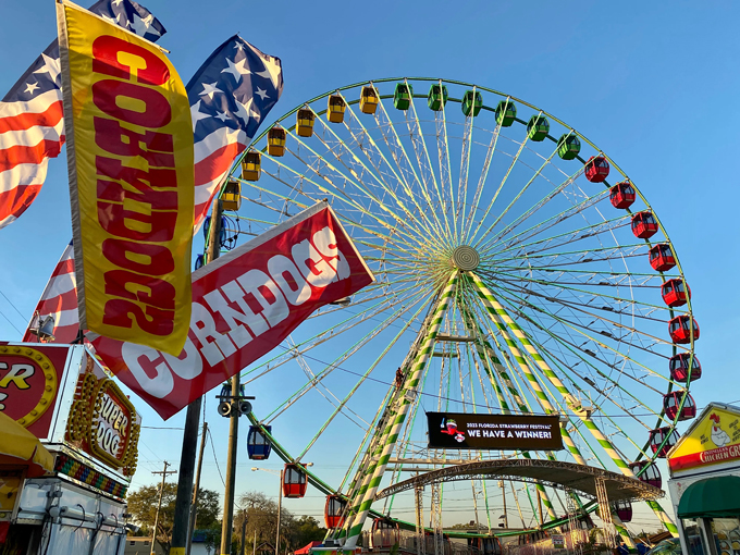 florida strawberry festival 8