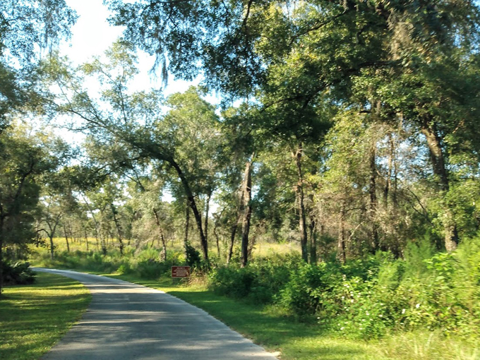 fort cooper state park 4