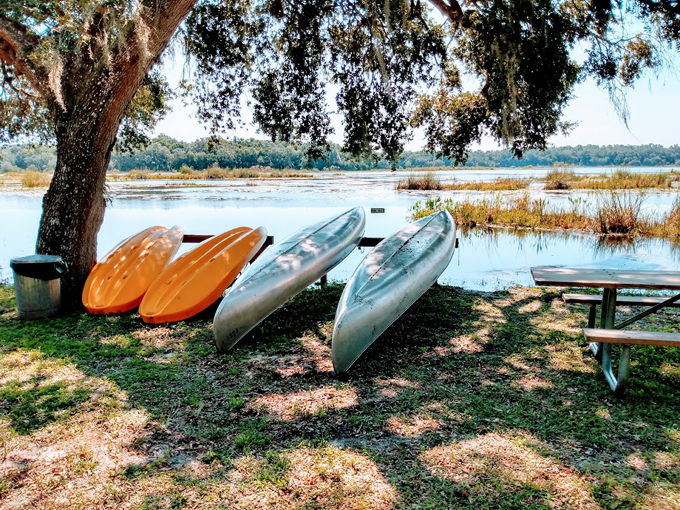 fort cooper state park 9