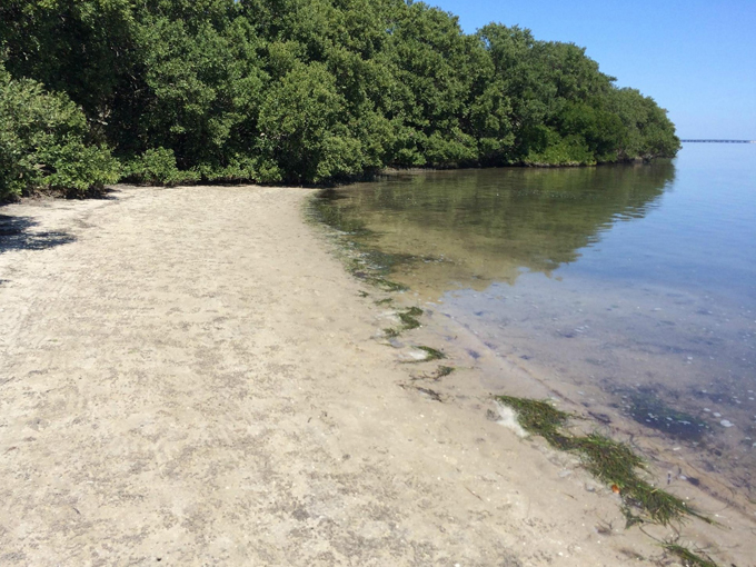 fort desoto state park 2