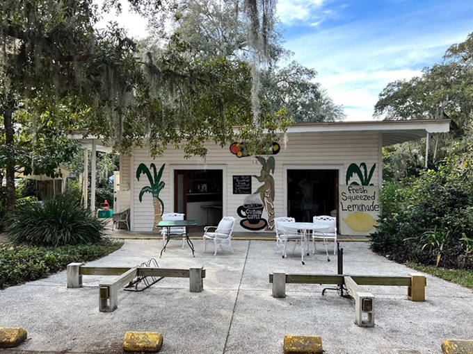 fountain of youth archaeological park 8