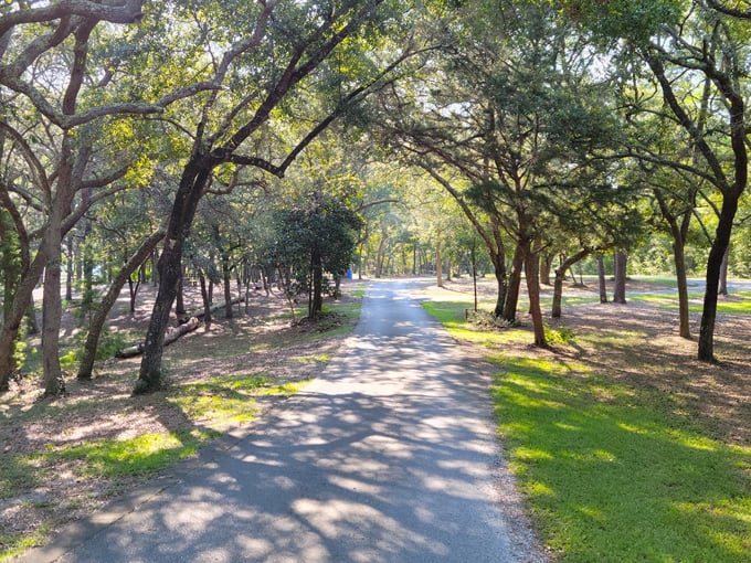 fred gannon rocky bayou state park 9