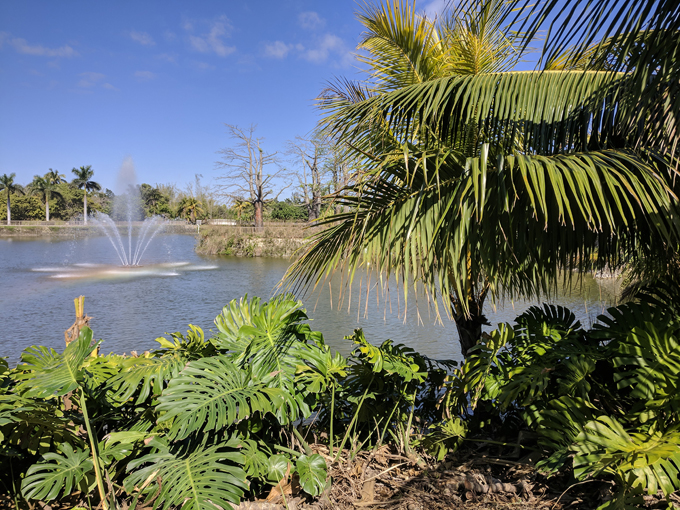 fruit and spice park 2