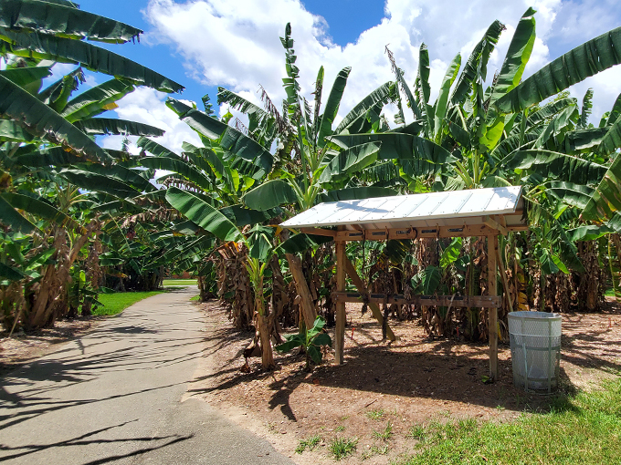 fruit and spice park 5