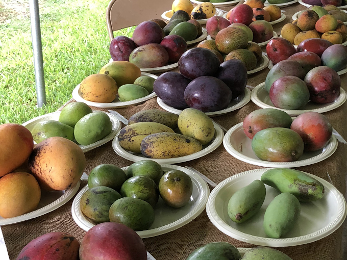 fruit and spice park 9