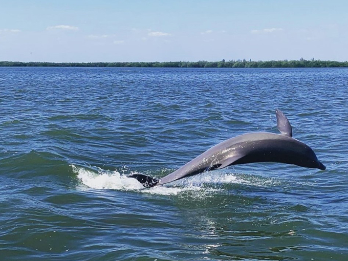 gasparilla island state park 7