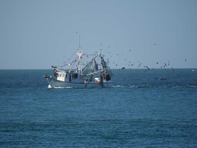 gasparilla island state park 8