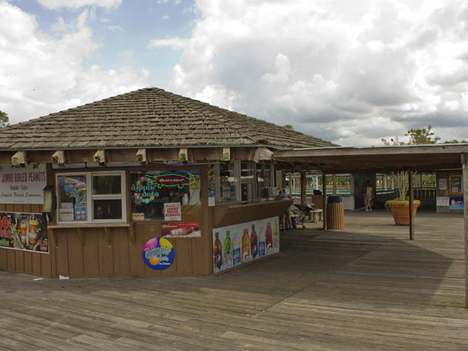 gatorland 9