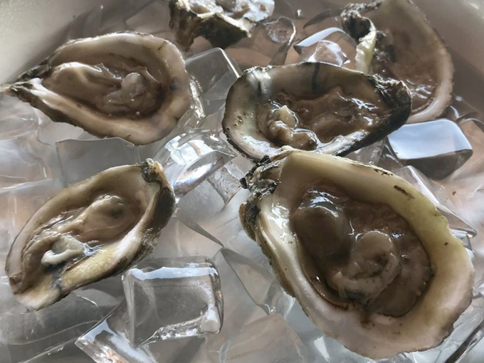 goodrich seafood oyster house 5