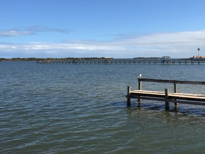 goodrich seafood oyster house 9