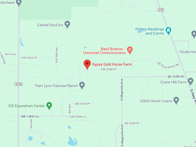 gypsy gold horse farm 10 map