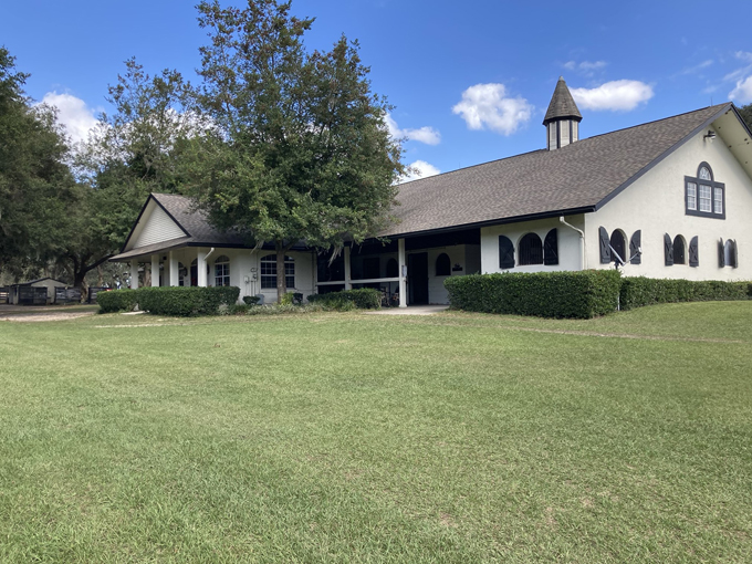 gypsy gold horse farm 2