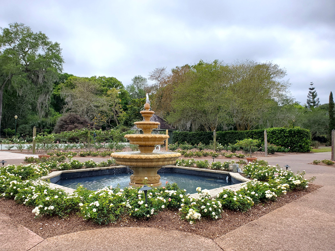 harry p. leu gardens 1