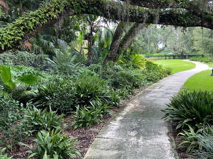 harry p. leu gardens 3