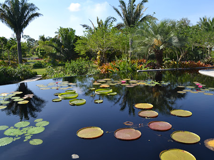 harry p. leu gardens 8