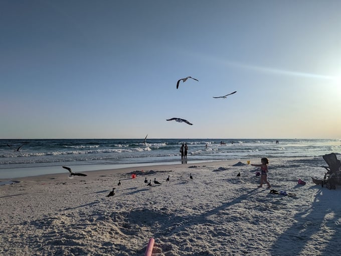 henderson beach state park 6