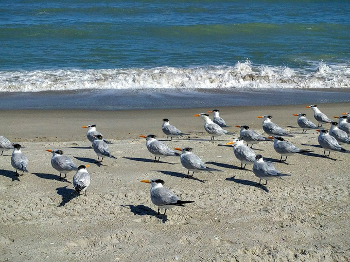 hightower beach park 3