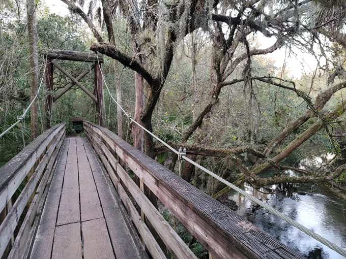 hillsborough river state park 1
