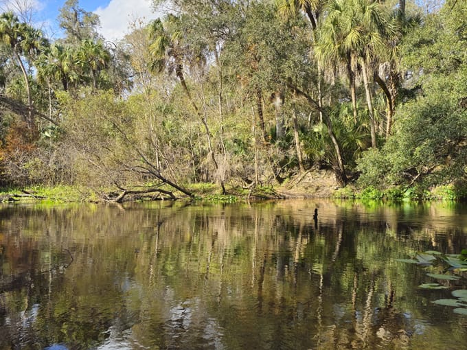 hillsborough river state park 2