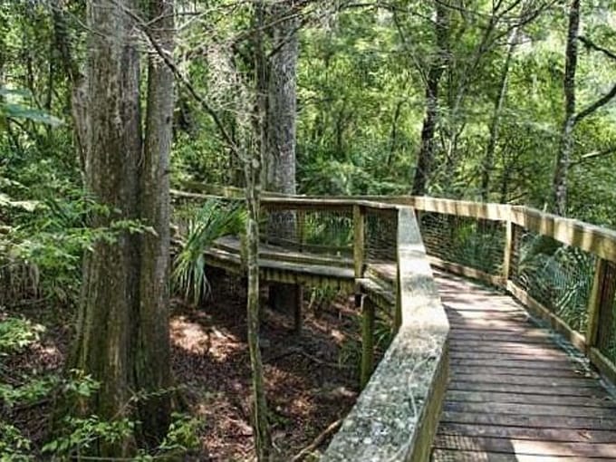 hillsborough river state park 6