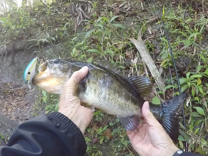 hillsborough river state park 8