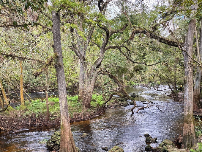 hillsborough state park 2