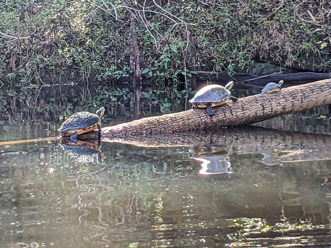 hillsborough state park 4