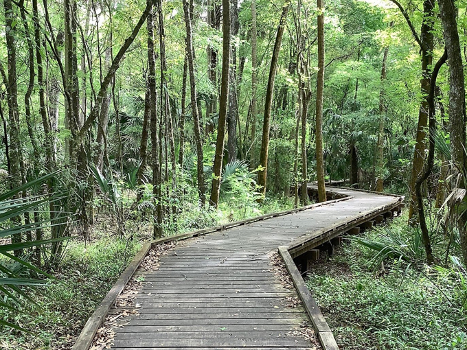 hillsborough state park 5