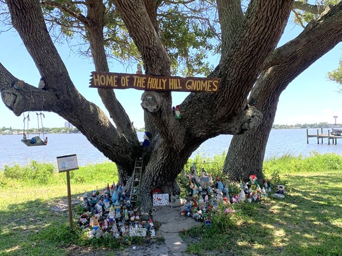 holly hill gnome tree 1