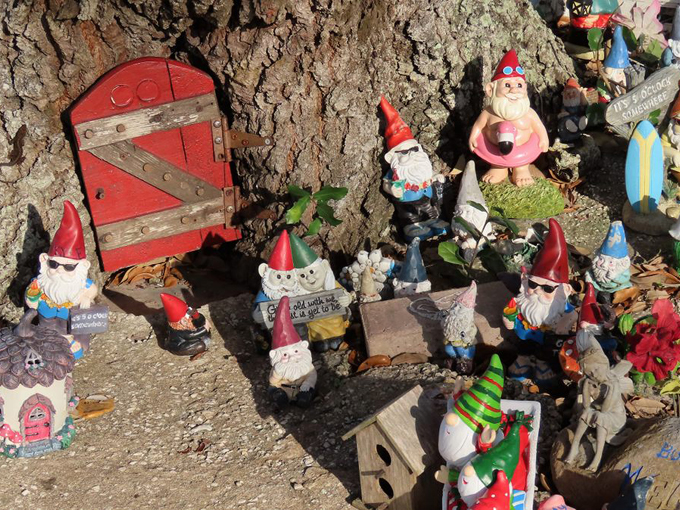holly hill gnome tree 4