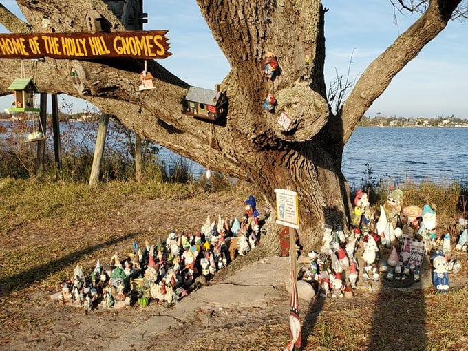 holly hill gnome tree 5