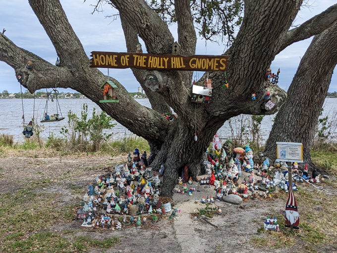 holly hill gnome tree 6