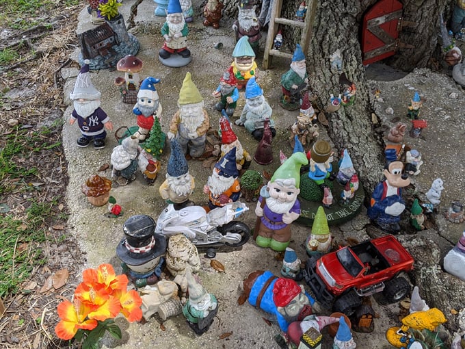 holly hill gnome tree 8