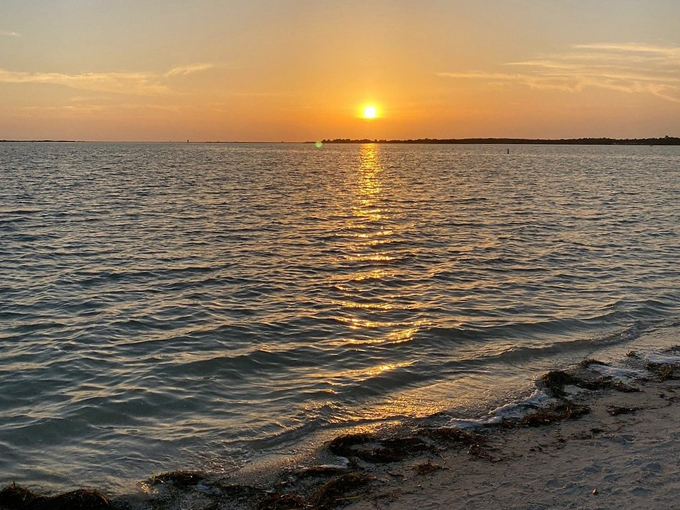 honeymoon island state park 5