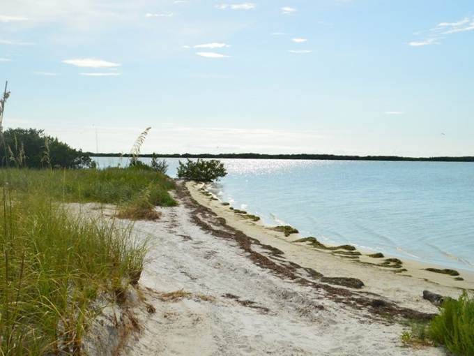 honeymoon island state park 6