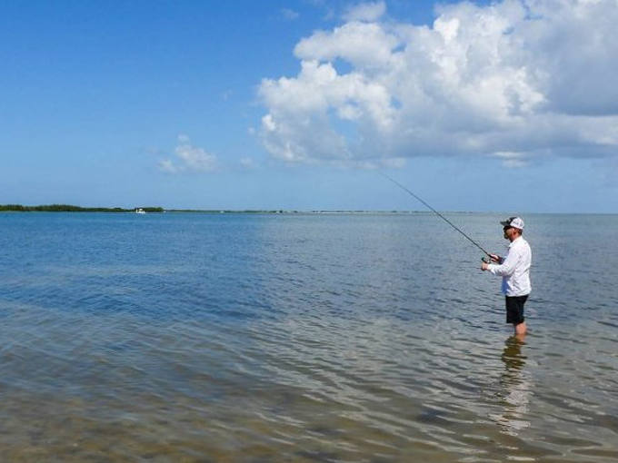 honeymoon island state park 7