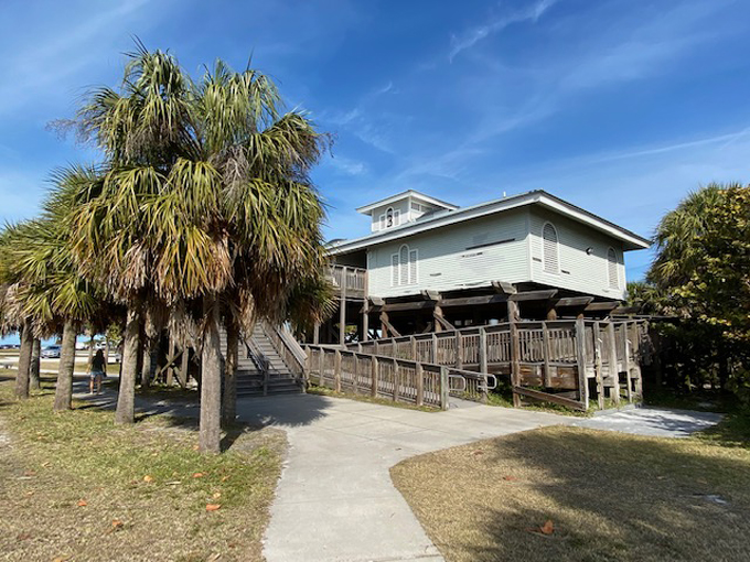honeymoon island state park 8