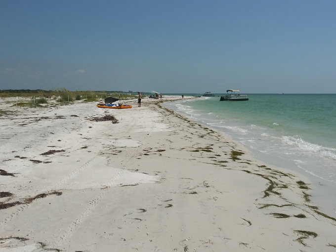 honeymoon island state park 9