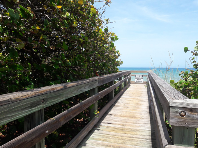 indian harbour beach 3